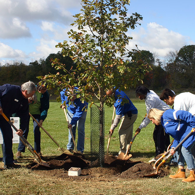 Great Parks Forever - The philanthropic partner for Great Parks of ...